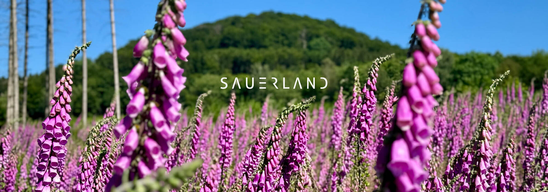 Dein Sauerland-Shop by SAUERLANDesign | Heimat.Style